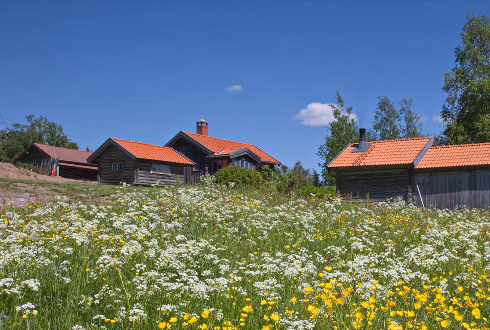 Sommarens böcker 2023 - Semic